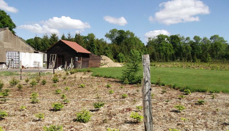 Gallery – Coombe Farm