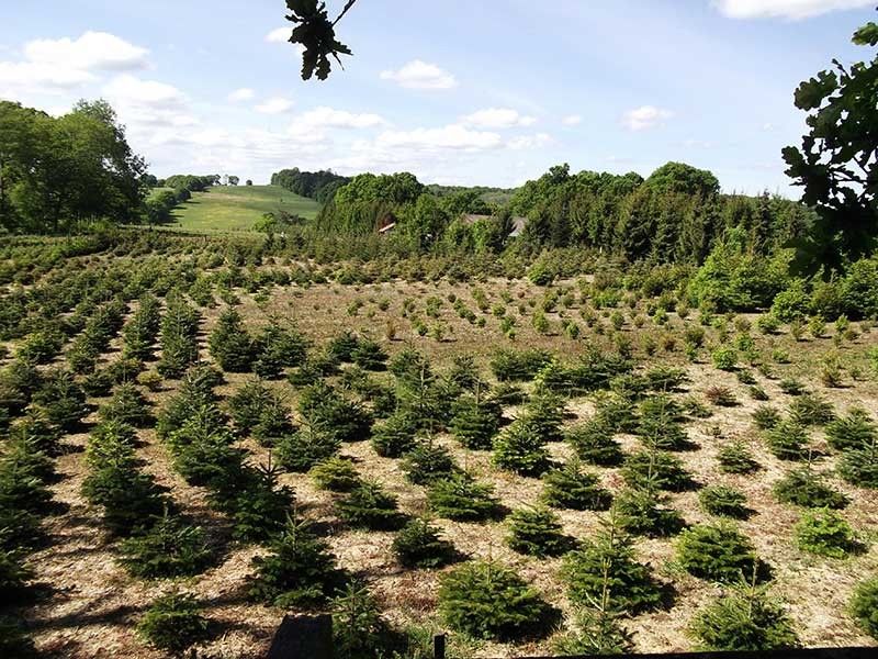 Gallery – Coombe Farm