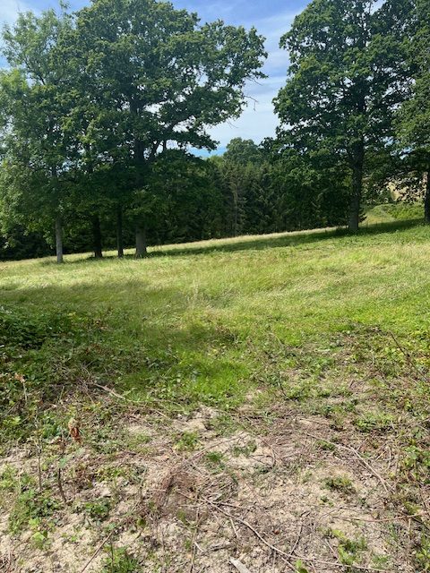 Glamping and Camping – Coombe Farm